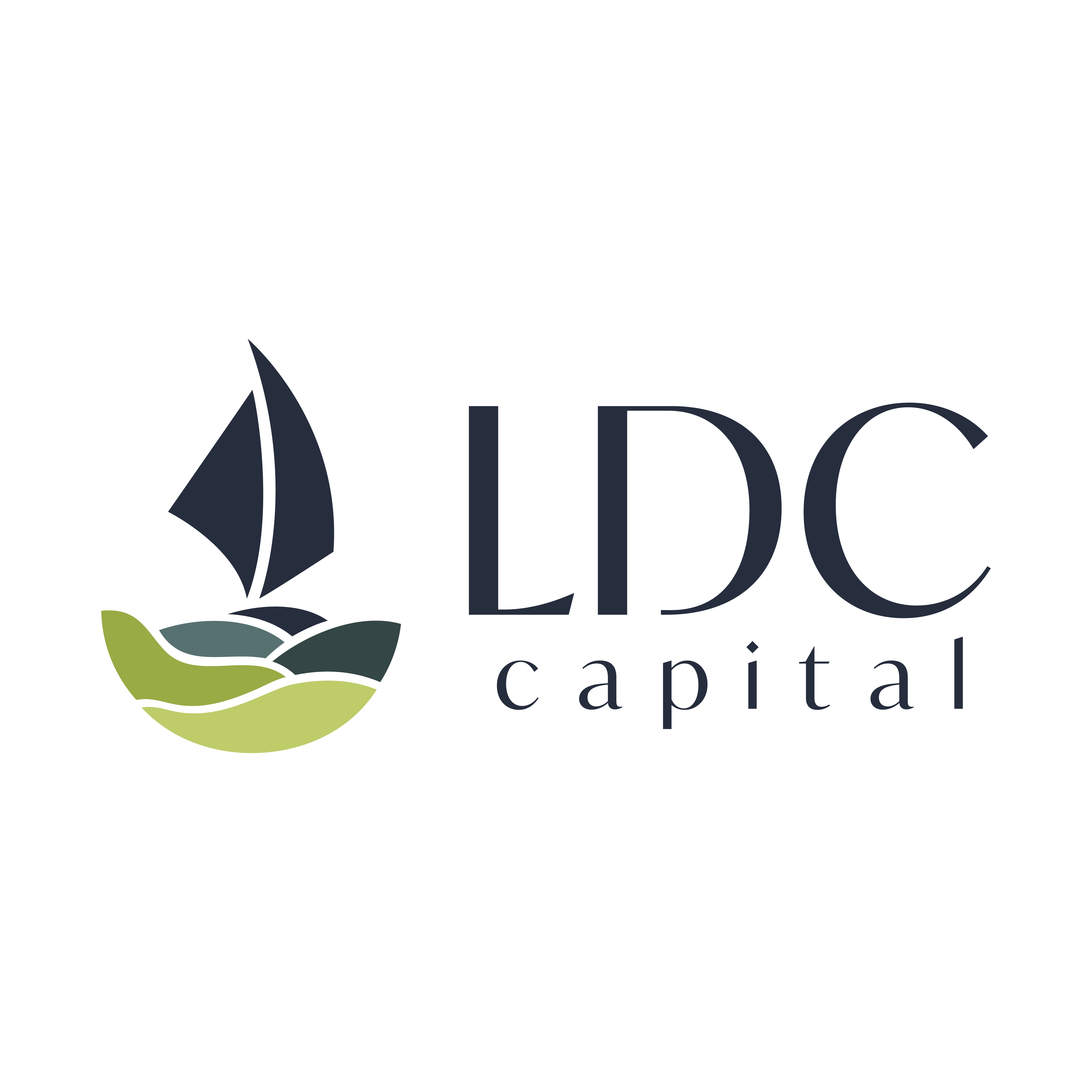 LDC Capital - Mais do que finanças, direção